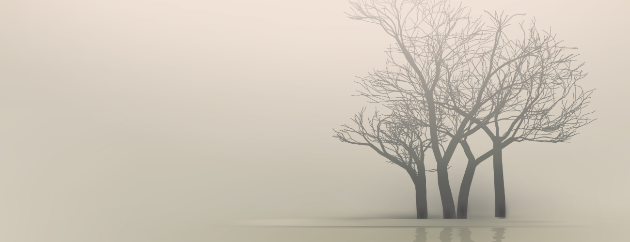 About – Wellness in Idyllwild